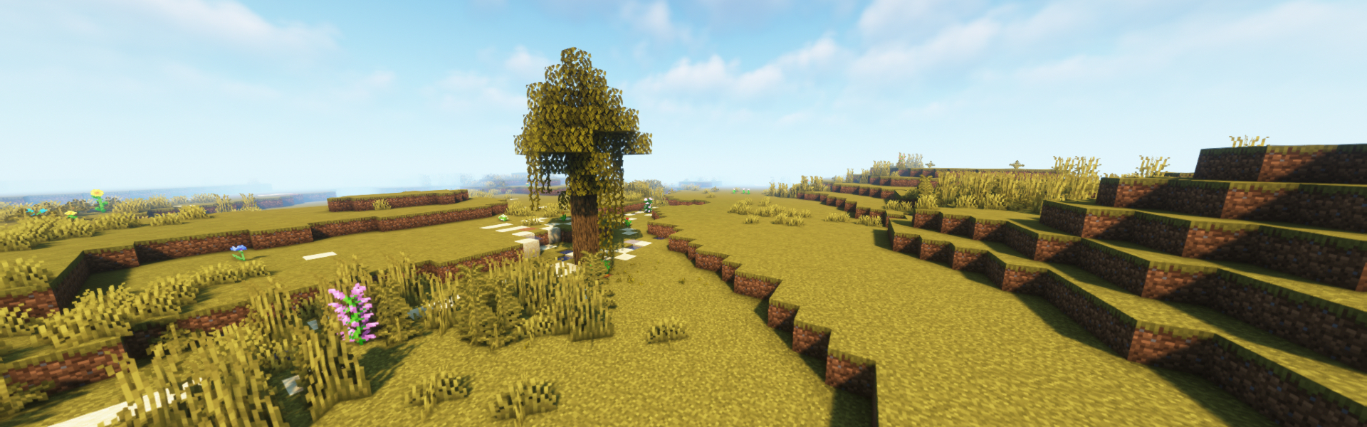 Minecraft server BuzzCraft | Earth And Vanilla